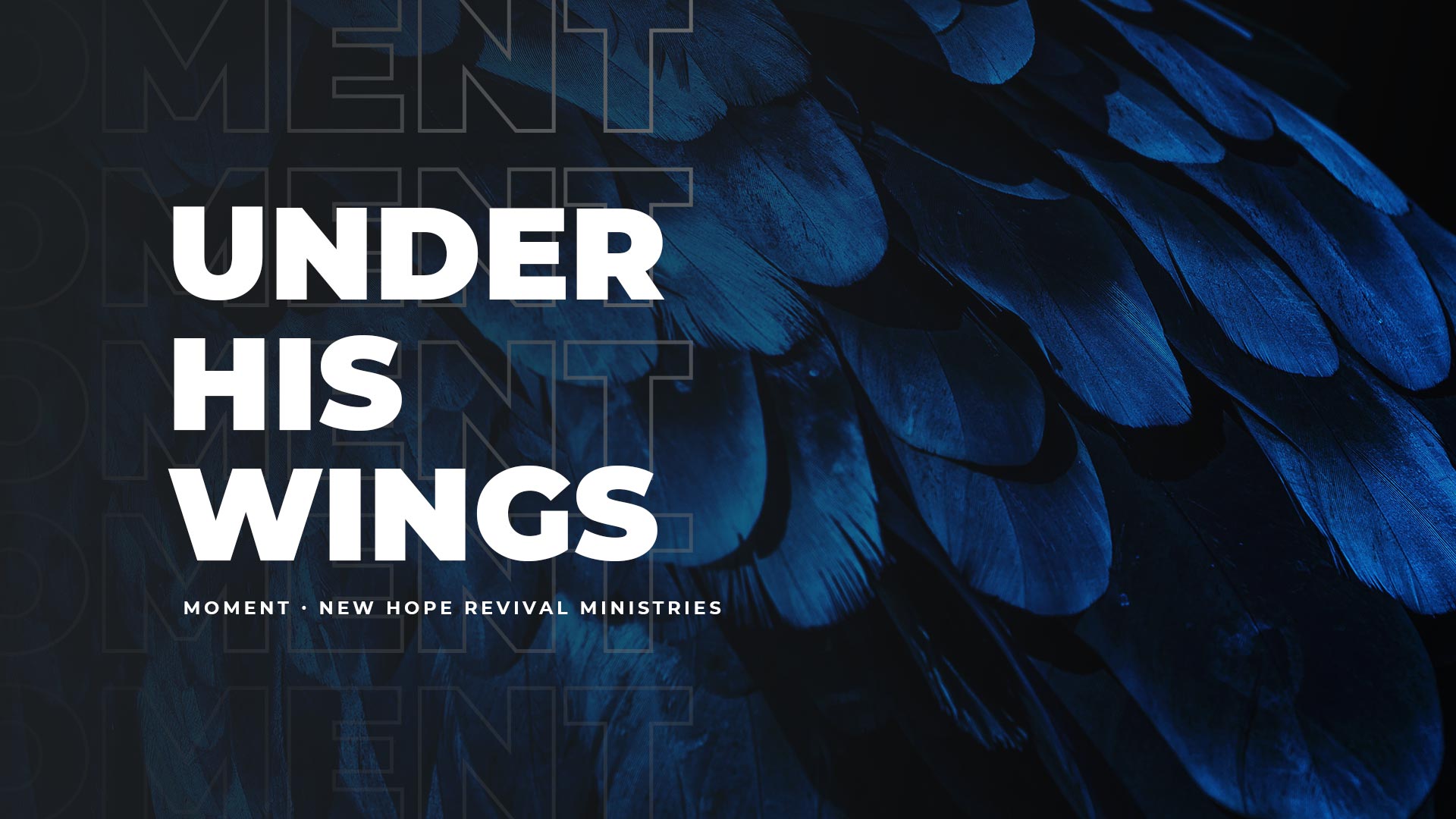 Under His Wings | New Hope Revival Ministries